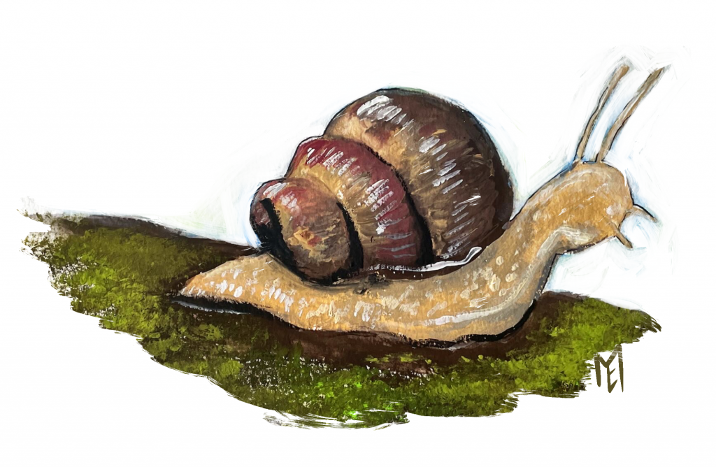 Diersymboliek: De slak - Zon en Maan